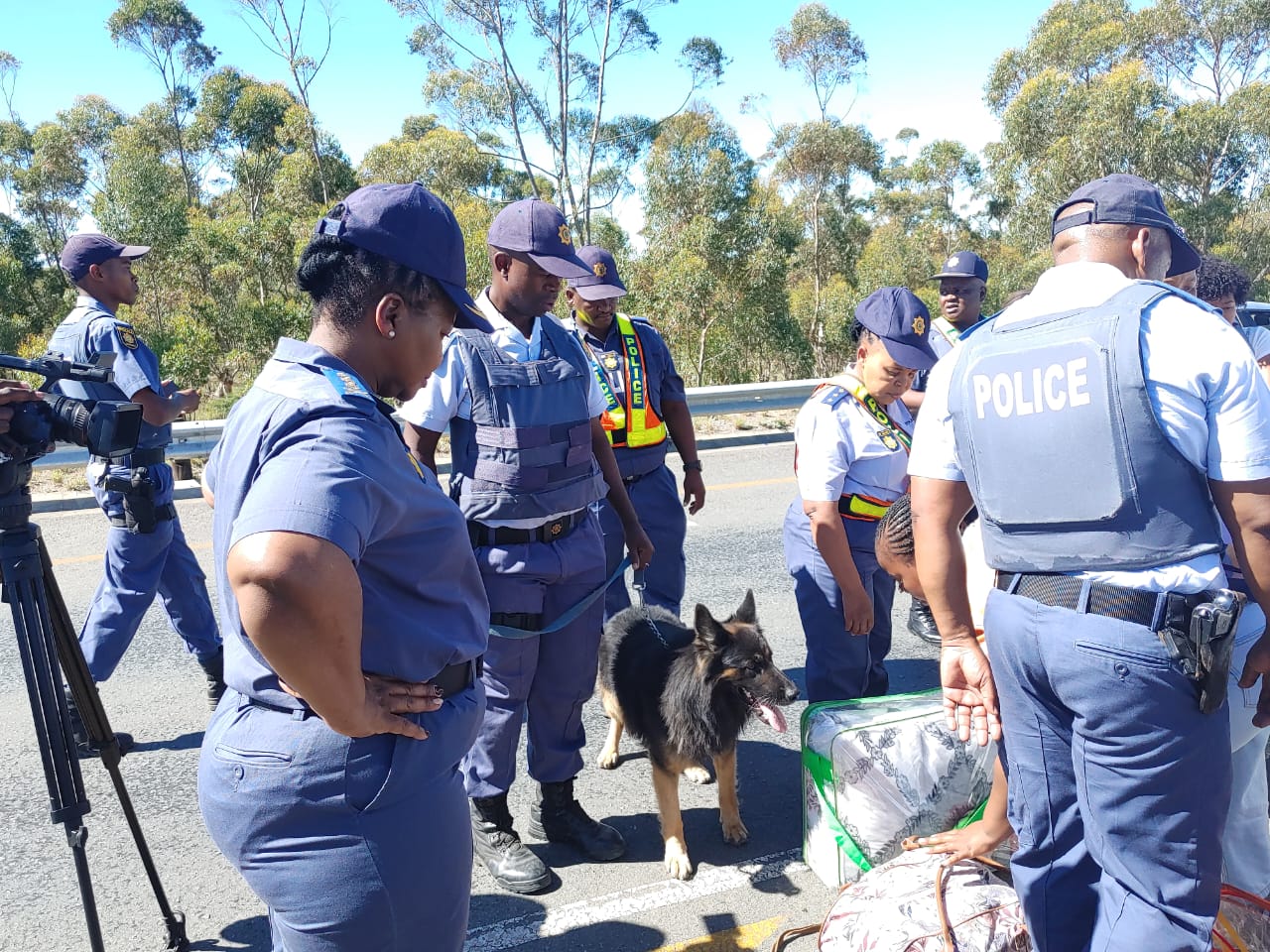 Mounted SAPS members keep EC areas safe – St Francis Chronicle